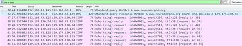 Only The DNS And ICMP Packets Using Wireshark Download Scientific Diagram