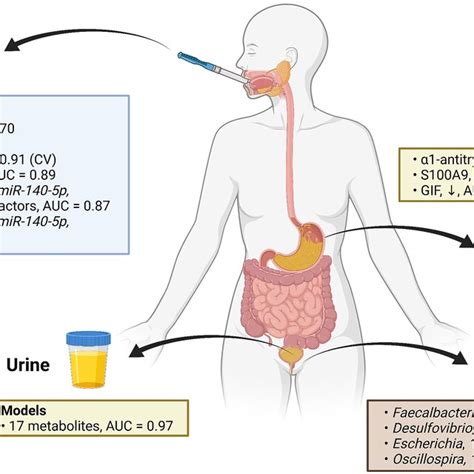 Validated Biomarkers With High Sensitivity And Specificity For Gastric Download Scientific
