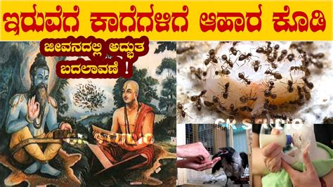 ಸಾಲ ಸಂಕಷ್ಟ ಹೆಚ್ಚಾದರೆ ಈ ಆಹಾರ ಕಾಗೆ ಇರುವೆಗೆ ಕೊಡಿ Youtube