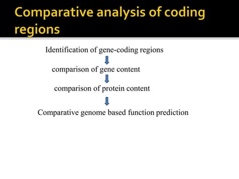 Comparative And Functional Genomics Pptx Genetics Science