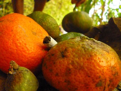 Para Masturbar La Retina P Gina Web De Vaganciaexquisita