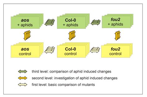 Microarray Experimental Design Each Square Represents One Biological