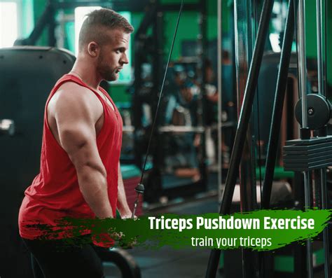 Triceps Pushdown Exercise Train Your Triceps Thumper Massager Inc Us Store