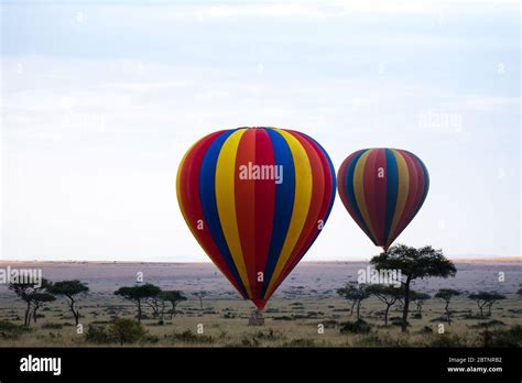 Balloon Safari From Masai Mara Or Hot Air Balloons Stock Photo Alamy