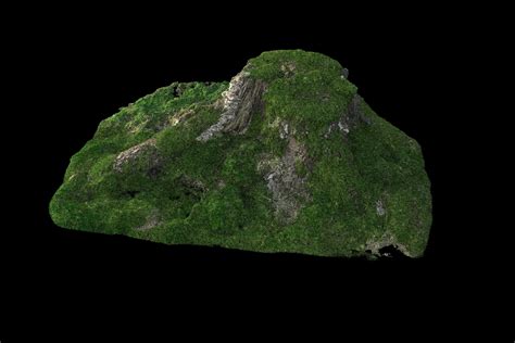 15 Forest Element Max C4d Obj Fbx 3d Model Evermotion