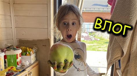 Бабулина дача малина яблоки дом ВЛОГ Youtube