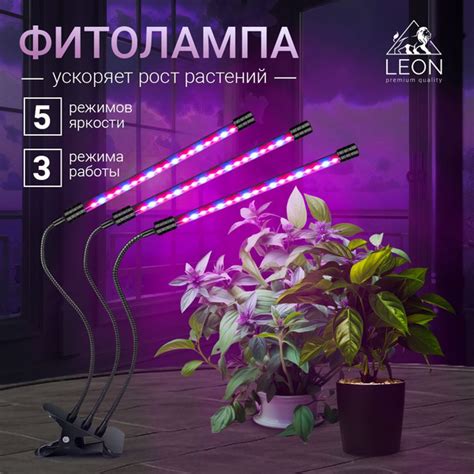 Фитолампа для растений полный спектр 3 светильника купить с доставкой по выгодным ценам в