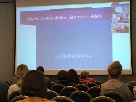 Ayres Sensory Integration Certification