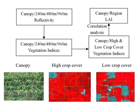 2802 Remote Sensing Indicators For Crop Growth Monitoring At Differen…
