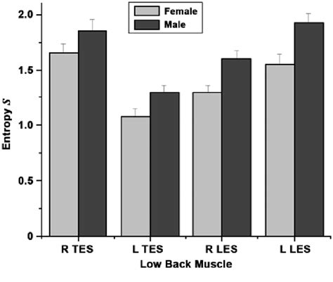 Gender Differences In Entropy Levels Of The Low Back Muscles Entropy Download Scientific