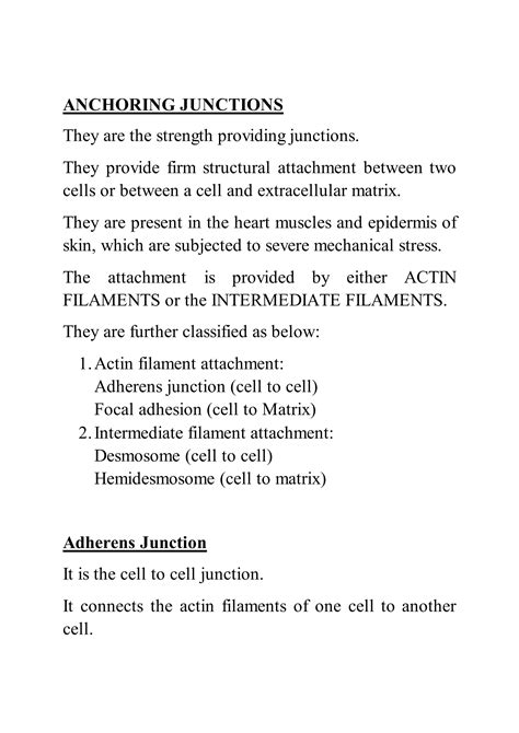 Cell Junctions Docx
