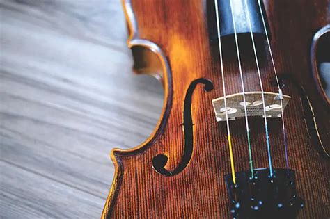 Violin Strings Vs Guitar Strings Important Differences Strings HQ