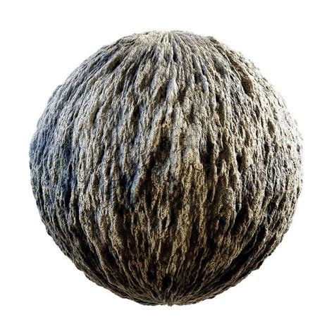 Tree Bark PBR Texture