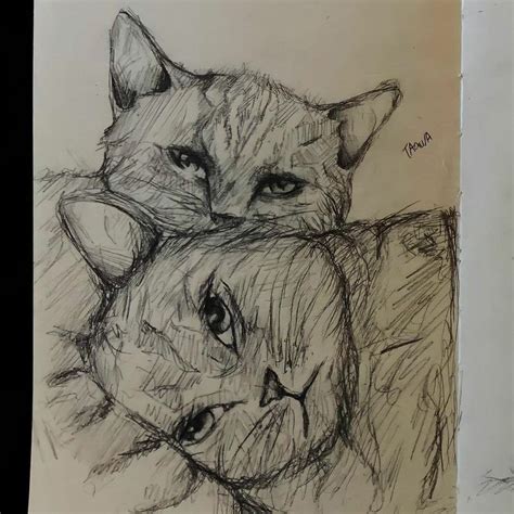 Pin Di Norah Su Art Disegno Carino Disegni