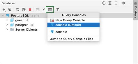 query consoles appcode documentation