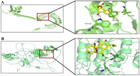 Molecular Docking Analysis With Autodock A Predicted Interaction Download Scientific Diagram