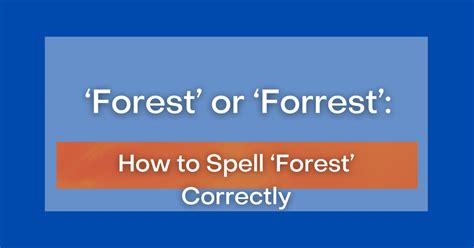 ‘forest Or ‘forrest How To Spell ‘forest Correctly