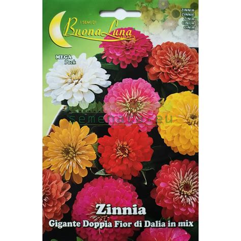 Семена - Циния Гигант