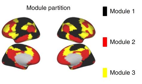 Human Brains Functional Connectivity Boils Down To Three Patterns In