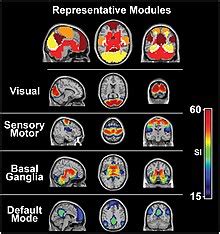Resting State FMRI Wikipedia