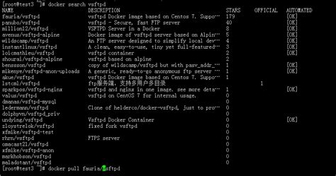 docker 安装ftp leihongnu 博客园