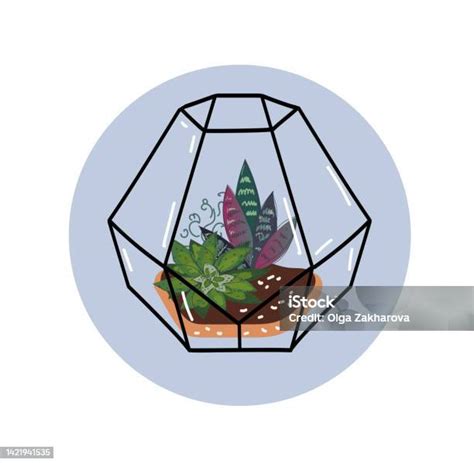 즙이 많은 선인장이있는 현대 유리 기하학적 테라리움 일본 장식 가정 원예 벡터 낙서 일러스트레이션 0명에 대한 스톡 벡터 아트 및 기타 이미지 Istock