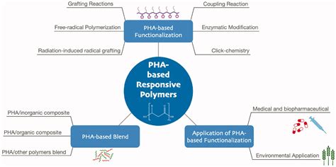 Polyhydroxyalkanoates Pha Based Responsive Polymers International