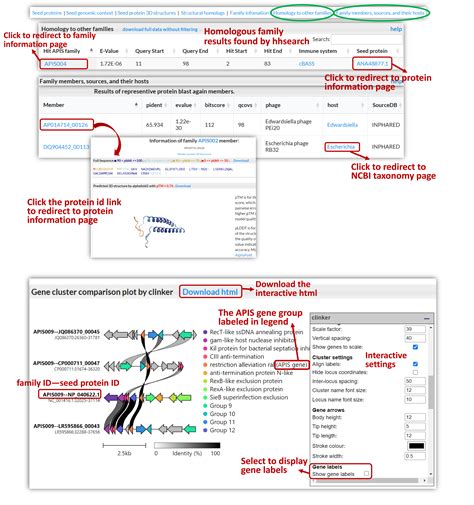 Dbapis A Database Of Anti Prokaryotic Immune Systems