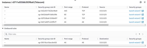 amazon web services unable to open public ipv4 dns in aws ec2 linux