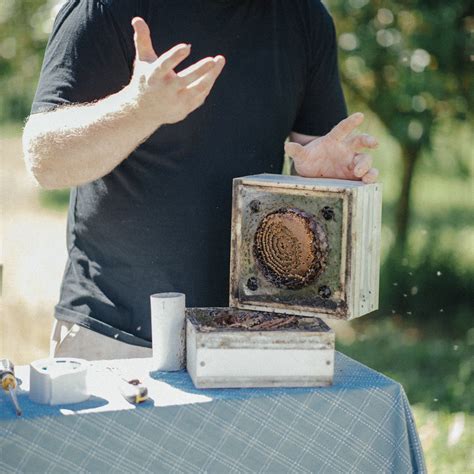 Keeping Australian Native Bees Online Course — The Australian Native