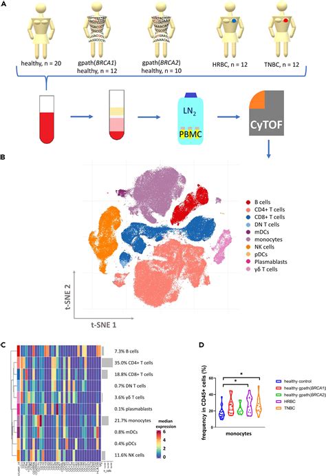 Peripheral Immunophenotyping Reveals Lymphocyte Stimulation In Healthy