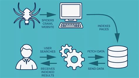 Apa Itu Web Crawler Pengertian Cara Kerja Dan Fungsinya