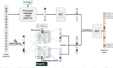 Figure 1 From Protein Function Prediction Using Graph Neural Network
