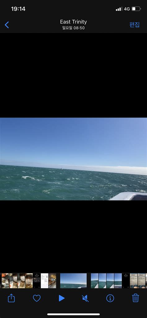 줌줌 후기 Down Under 다운언더크루즈 그레이트배리어리프 체험스쿠버다이빙 및 스노클링 김재