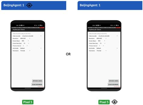Could Hydra Lab Add An Icon Aside The Private Deviceagent · Issue