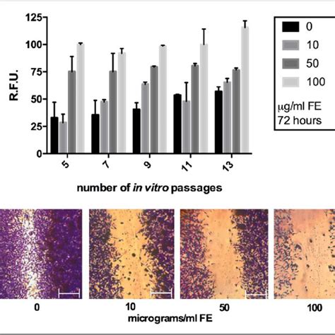 Alteration Of Human Fibroblasts Senescence And Migration By Download Scientific Diagram