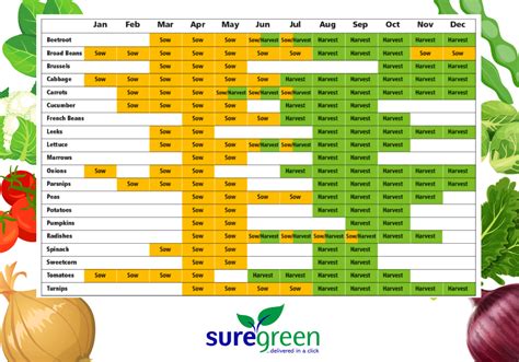 Vegetable Planting Time Chart