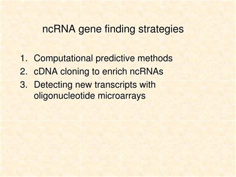 Ppt C Omputational Ncrna Gene Finding And Nc Rna Structure Prediction Powerpoint Presentation