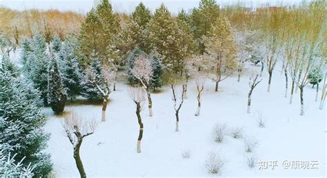 瓠山才子藏头诗峪泉瑞雪 知乎