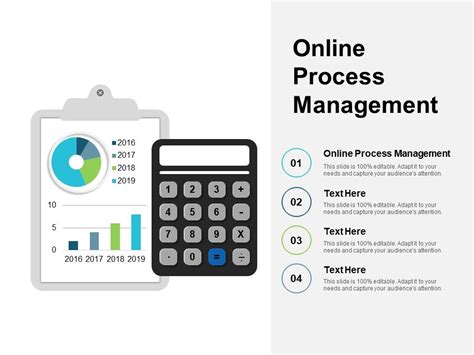 Online Process Management Ppt Powerpoint Presentation Summary Example