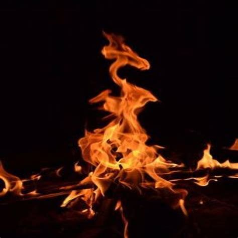 Object Detection Object Detection Model By Trial1