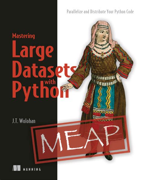 tutorial review mastering large datasets with phyton