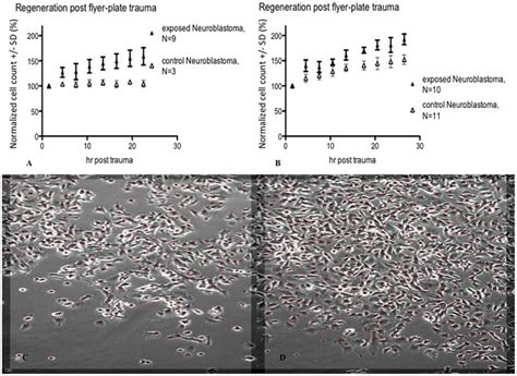 Cell Count Normalized Mean ± Sd In Lesion Peripheries Vs Download Scientific Diagram