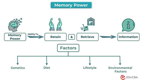 6 Tremendous Ways To Boost Your Memory Power EDUCBA