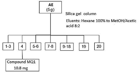 Fractionation Of Raw Aqueous Extract Ae Of Propolis M Quadrifasciata