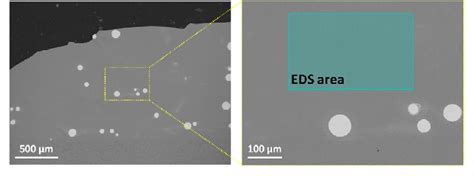 Example Of The Area Selected For The Compositional Analysis Of The