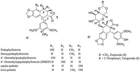 A Podophyllotoxin 1 B Etoposide 2 Teniposide 3 Download Scientific Diagram