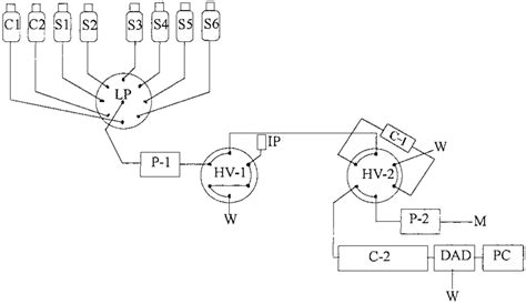 Schematic Representation Of The On Line Preconcentration System C Download Scientific Diagram