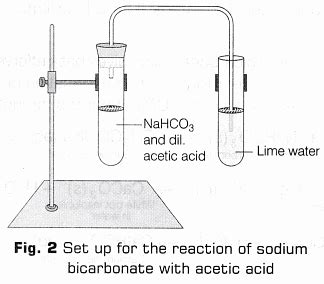 Lab Manual Properties Of Acetic Acid Lab Manuals For Class PDF Download