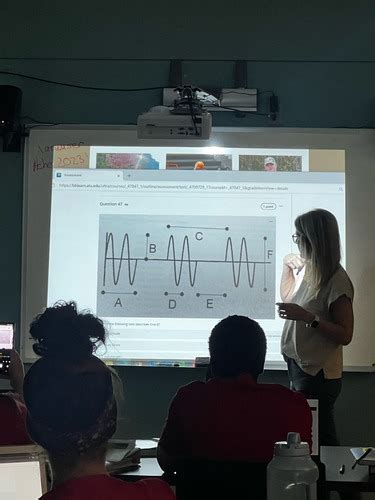 Graph Flashcards Quizlet